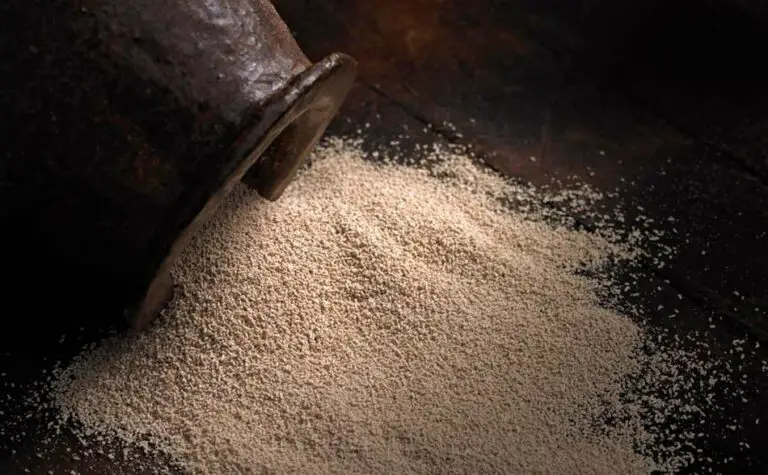 No Yeast, No Problem: Bread Machine Recipes for Yeast-Free Bread ...